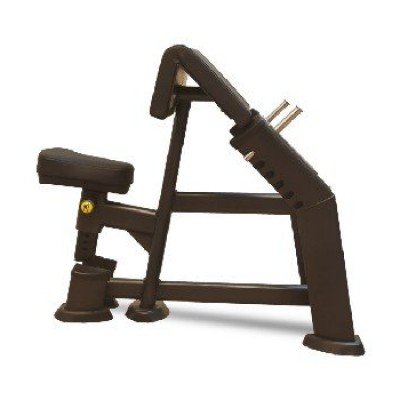 Scott Bench (Banco Rosca Scott) - Total Health